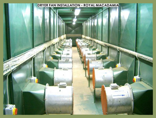 Drying Bins | The Nut Machine Company