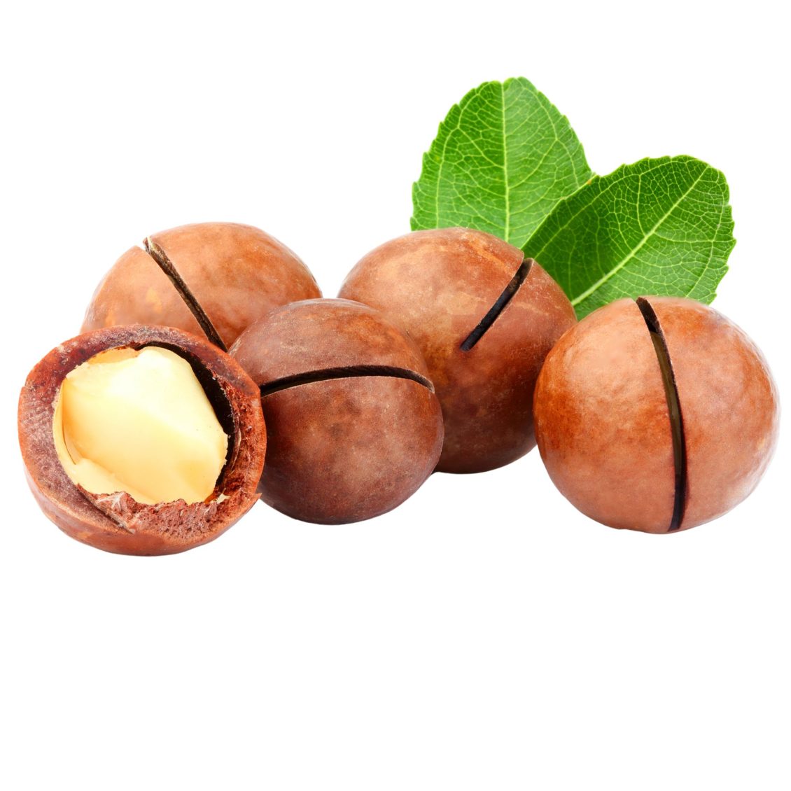 The Nut Machine Company